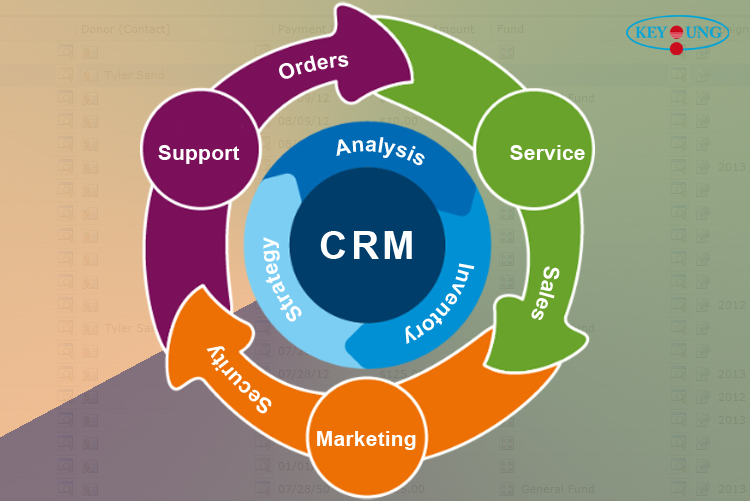 Crm Activity Youtube Riset